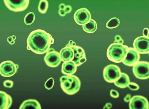 It Comes in Threes: Chlorella Recipes to Enjoy - Health Juices ...